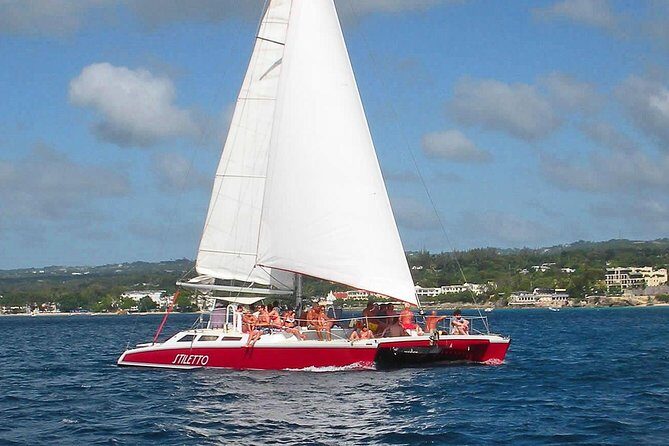 Barbados Catamaran Turtle Snorkel with Lunch and Open Bar - Who Should Consider This Tour?