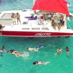 Barbados Catamaran Turtle Snorkel with Open Bar - Practical Details and Tips