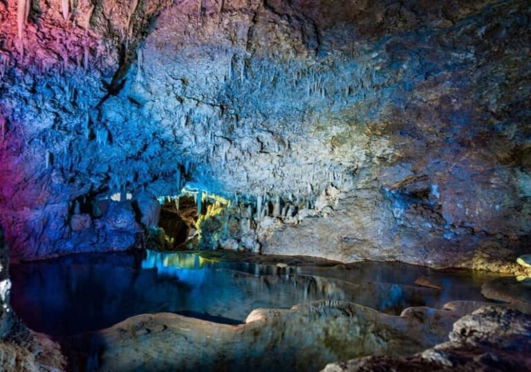 Barbados: Harrisons Cave & Huntes Gardens Tour - Who Should Consider This Tour?