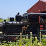 Barbados Heritage Tour: Train Ride, Rum Tasting & History - What Travelers Say