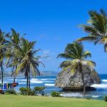 Barbados Highlights Tour - Who Should Consider This Tour?