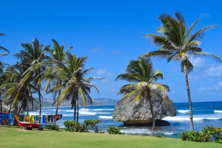 Barbados Highlights Tour - Who Should Consider This Tour?