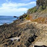 Barbados Hiking and Sightseeing Tour (Transport Included) - The Sum Up