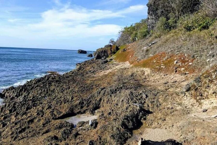 Barbados: Hiking and Sightseeing Tour - Why Choose This Tour?