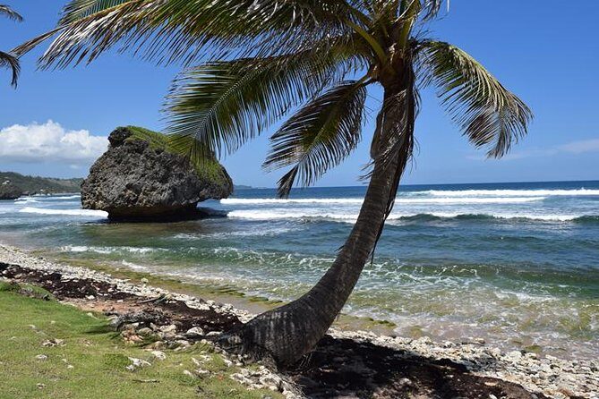 Barbados Island Highlights Half-Day Tour - Who Should Consider This Tour?