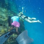 Barbados Island Tour, Monkey feeding & Swimming with the Turtles - The Practical Side: Transportation, Group Size, and Price