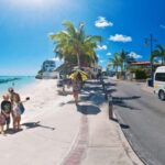 Barbados: Island Tour with Animal Flower Cave and Lunch - What Makes This Tour Stand Out