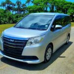 Barbados Private Arrival Transfer from Airport (BGI) - Who should consider this transfer?