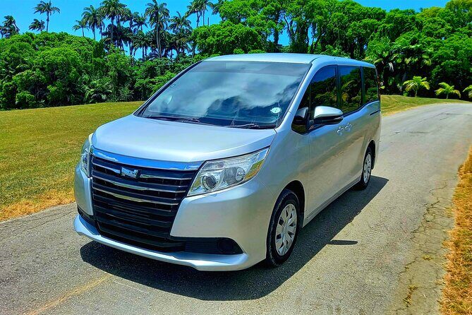 Barbados Private Arrival Transfer from Airport (BGI) - Who should consider this transfer?