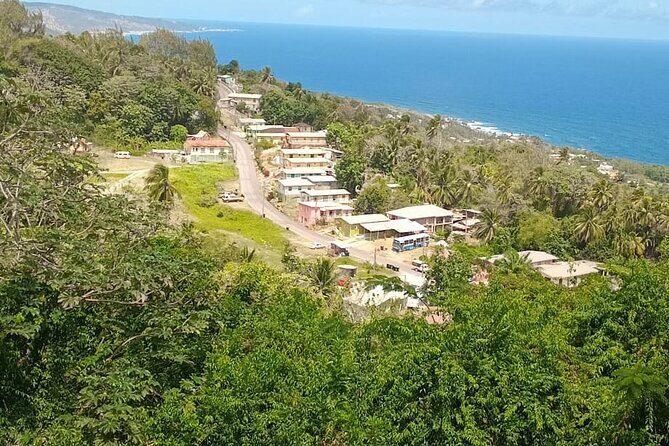 Barbados Private Custom Island Tour - Authentic Experiences and Value