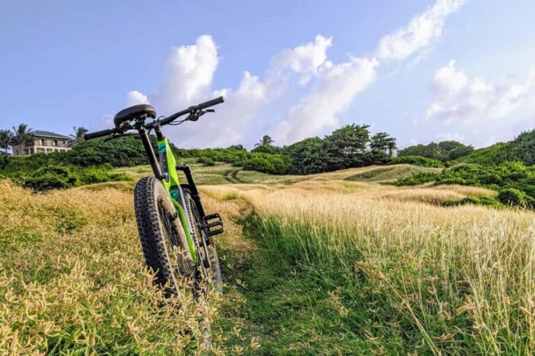 Barbados: Rural Tracks and Trails Guided E-Bike Tour - What Travelers Say