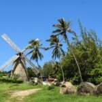 Barbados Shore Excursion: Bajan Highlights - Who Will Enjoy This Tour?