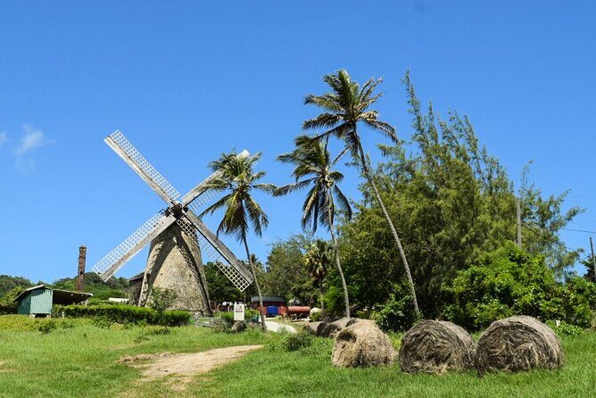 Barbados Shore Excursion: Bajan Highlights - Who Will Enjoy This Tour?