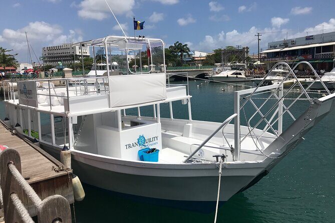 Barbados Shore Excursion Island Tour and Snorkel Cruise - Practical Details and Tips