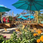 Barbados Shore Excursion: Wildlife Encounter and Beach Day - What’s Included and What to Bring