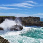 Barbados Small-Group Monkey Feeding Experience - Final Thoughts: Is It Worth It?