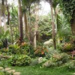 Barbados: Tour of Harrison's Cave & Hunte's Gardens - Discovering Hunte’s Gardens