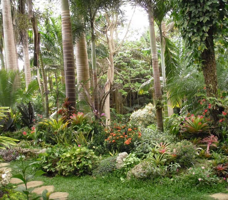 Barbados: Tour of Harrison's Cave & Hunte's Gardens - Discovering Hunte’s Gardens