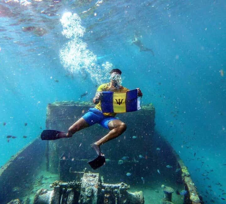 Barbados VIP Catamaran, Snorkeling, & Gourmet Lunch Cruise - Who This Tour Is Perfect For