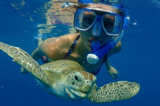 Barbados Wreck Explorers - Final Thoughts: Who Will Love This Tour?