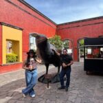 Barrel Tequila Tour Explore Tequila's Culture and Traditions - Final Thoughts