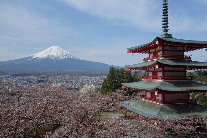 Barrier-Free Private Mt. Fuji Tour for Wheelchair Users - The Itinerary: A Well-Balanced Mix of Nature and Culture