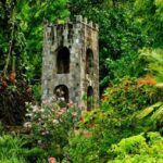 Basseterre: Plantation and Beach Extravaganza - Final Thoughts