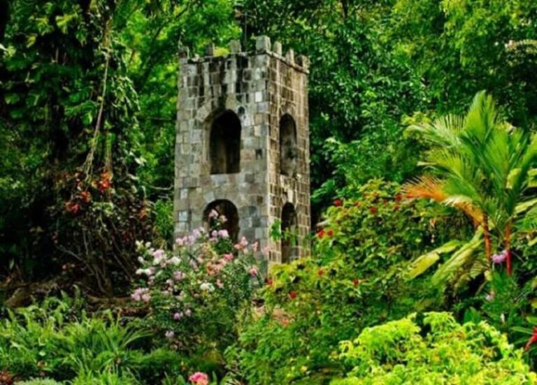 Basseterre: Plantation and Beach Extravaganza - Final Thoughts