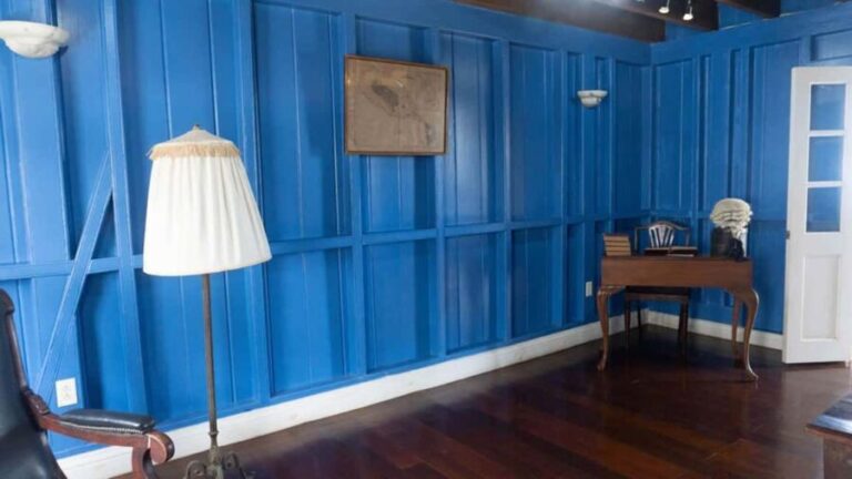 Basseterre Plantation Half Day Tour - The Itinerary: What To Expect