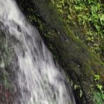 Basseterre Rainforest Hike - Final Thoughts