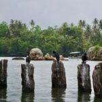 Bat Watching & Cinnamon experience -Koggala - The Practical Side: What to Expect and Tips