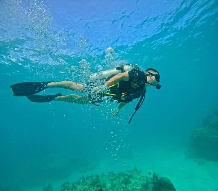 Bávaro: Scuba Diving Experience for Beginners - What Makes This Tour Stand Out?