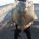 Bay Area Pier Fishing: Sturgeon, Sharks, and Stingray Hunt - Frequently Asked Questions