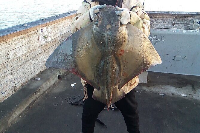 Bay Area Pier Fishing: Sturgeon, Sharks, and Stingray Hunt - Frequently Asked Questions