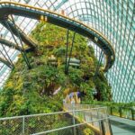 Bay Cloud Forest Gardens, Flower Dome, Jurassic World Experience - Analyzing the Value and Practicalities
