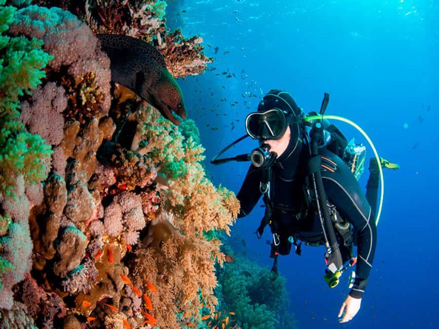 Bayahibe: Catalina Island Scuba Diving Tour with Lunch - Detailed Breakdown of the Itinerary