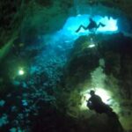 Bayahibe - Cenotes Scuba Diving - Godive Bayahibe - The Environment and Why It Matters