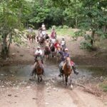 Bayahíbe Horseback Riding & River swimmig - Key Points