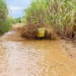 Bayahibe: Jungle Off-Road Buggy Adventure - Practical Details and Considerations