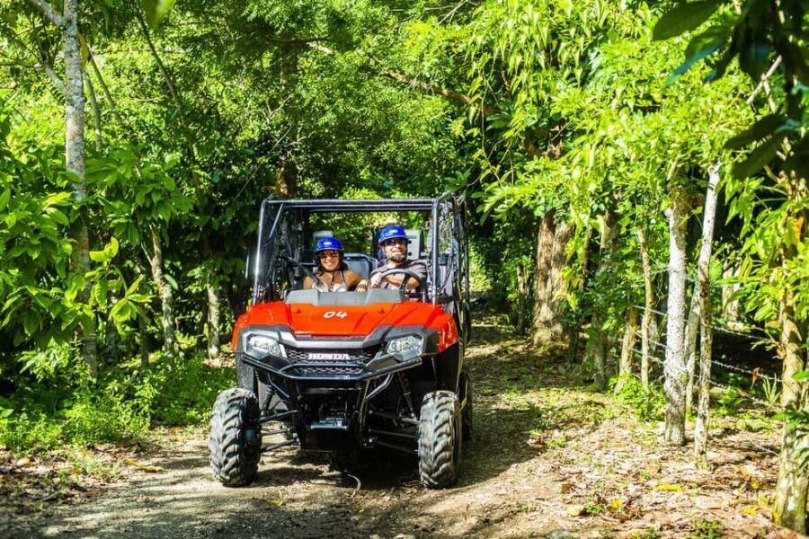 Bayahibe/La Romana: 4x4 Buggy and Monkeyland Tour - What to Expect: A Balanced View