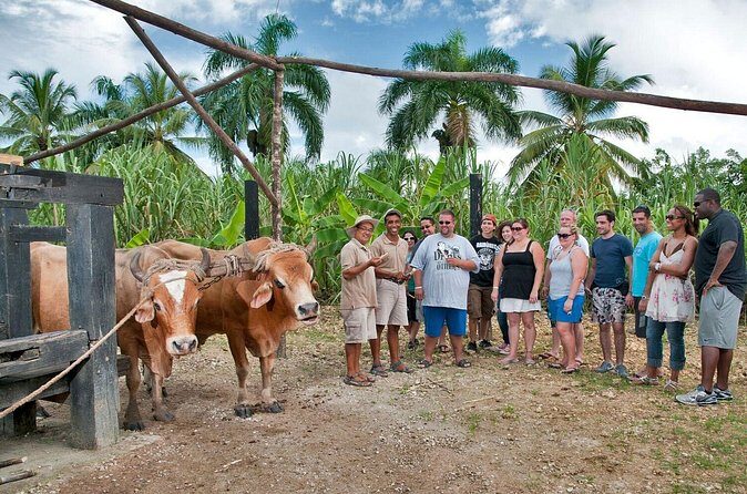 Bayahibe La Romana Discovery Full Day Tour - Analyzing the Value