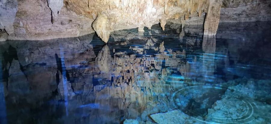 Bayahibe: National Park Jungle Walk & Snorkeling in Cenotes - Why This Tour Offers Great Value