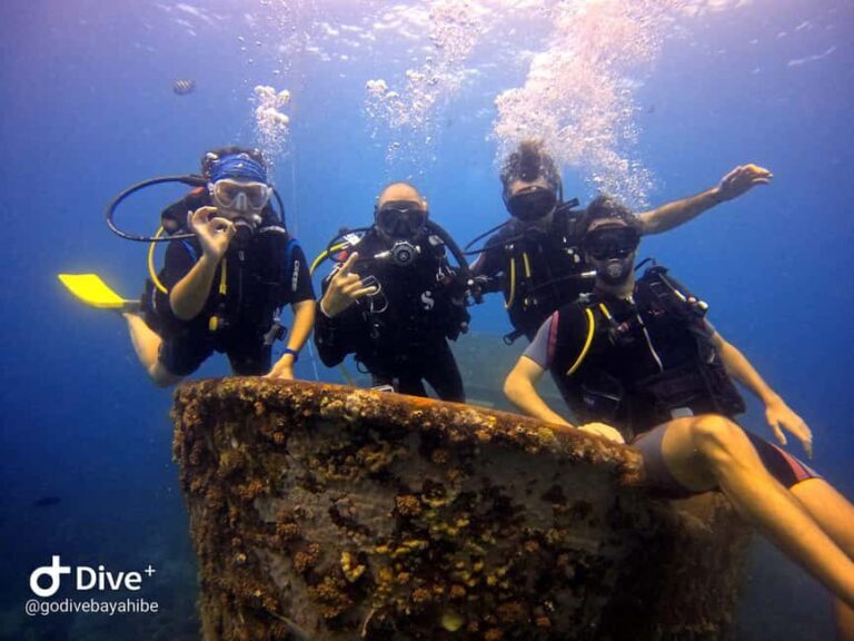 Bayahibe: PADI Open Water Course by Go Dive Bayahibe - What Makes This Course Stand Out?