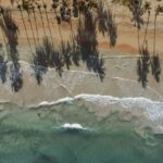 Bayahibe: Saona Island Boat Tour Small Group - Overview of the Experience