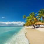 Bayahibe: Saona Island VIP Tour with Lunch & Drinks - What Travelers Say