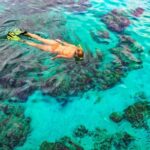 Bayahibe: Snorkeling Tour - Sea, Cotubanama park & Cenotes - Why This Tour Is Perfect for You
