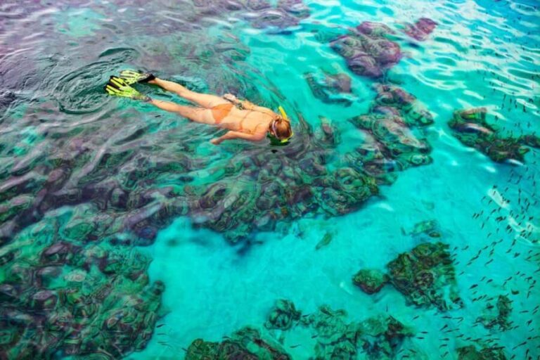 Bayahibe: Snorkeling Tour - Sea, Cotubanama park & Cenotes - Why This Tour Is Perfect for You