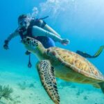 Bayhibe: Private 2 Tank Scuba Dive tour in the National Park - Why Choose a Private Dive in Cotubanama National Park?