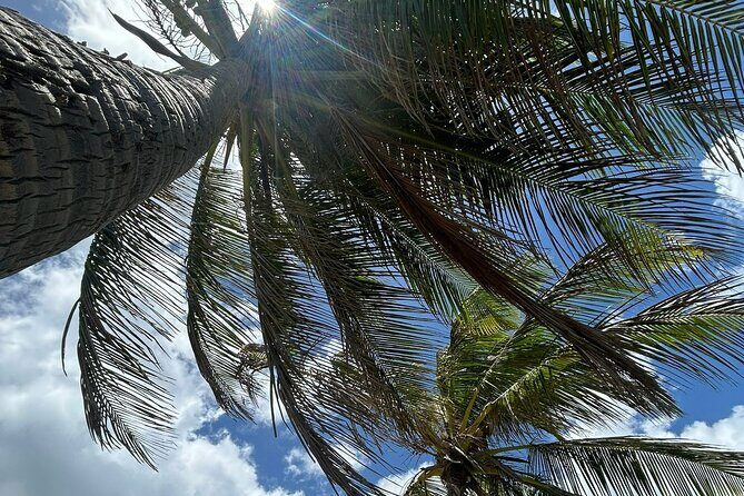 Beach Bliss Yoga in San Juan - Why Travelers Love Beach Bliss Yoga