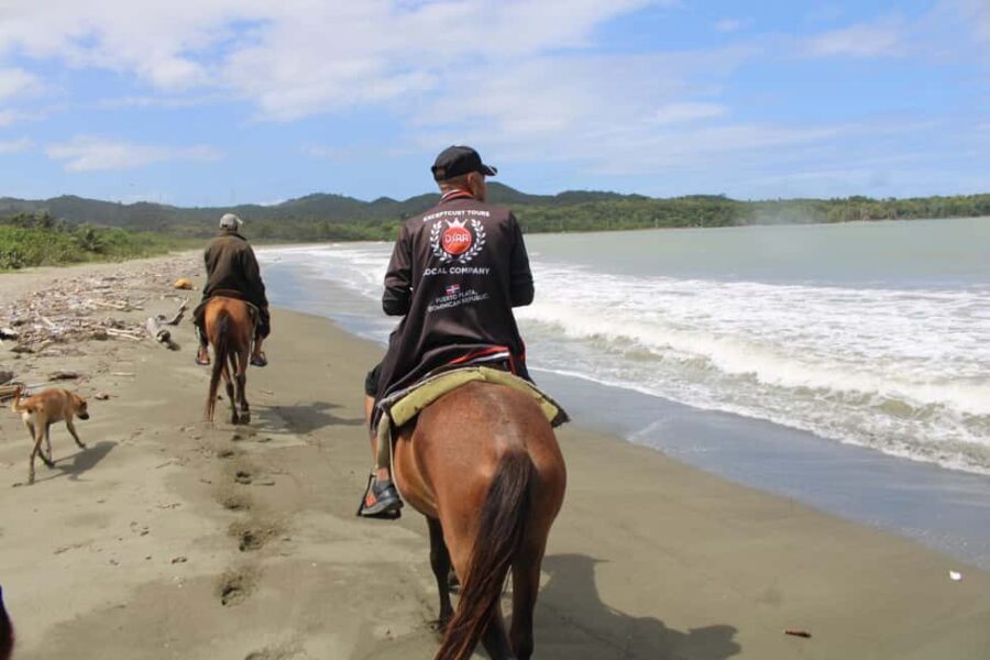 Beach horse back riding with countryside - The Horseback Ride: Scenic, Safe, and Memorable